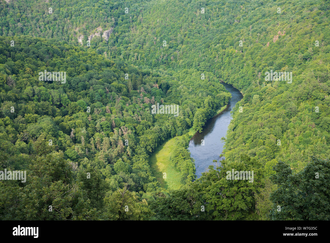 Thaya valley panoramic aerial view of river framed by dense mixed ...