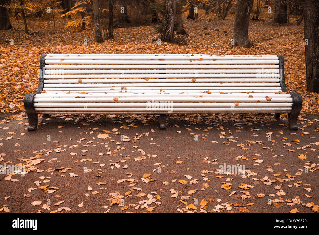 Empty bench trees park bench hi-res stock photography and images - Alamy