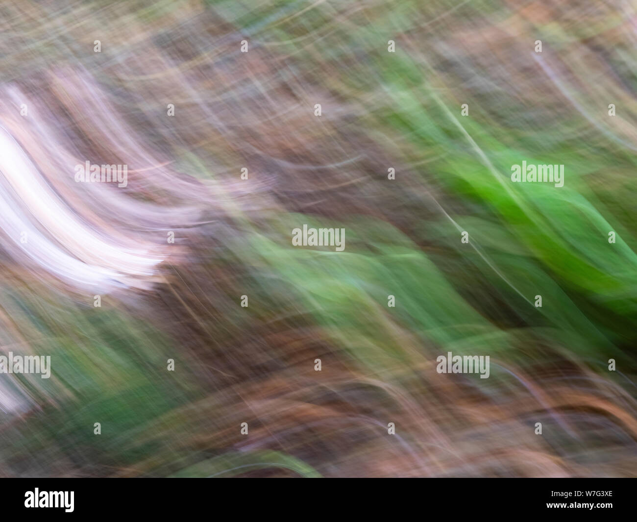 Weird movement hi-res stock photography and images - Alamy