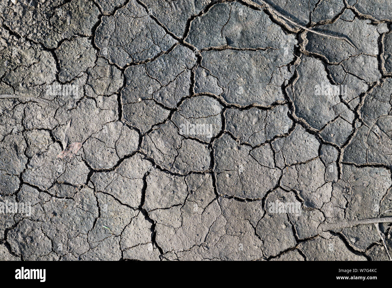 Mud (dried clay) as natural background Stock Photo - Alamy
