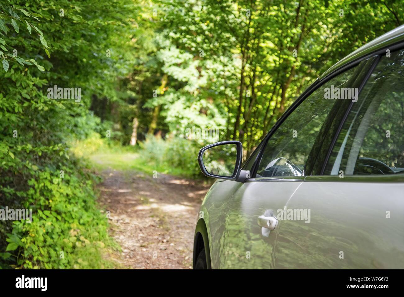 Side view of a car standing on a forest track. | usage worldwide Stock ...