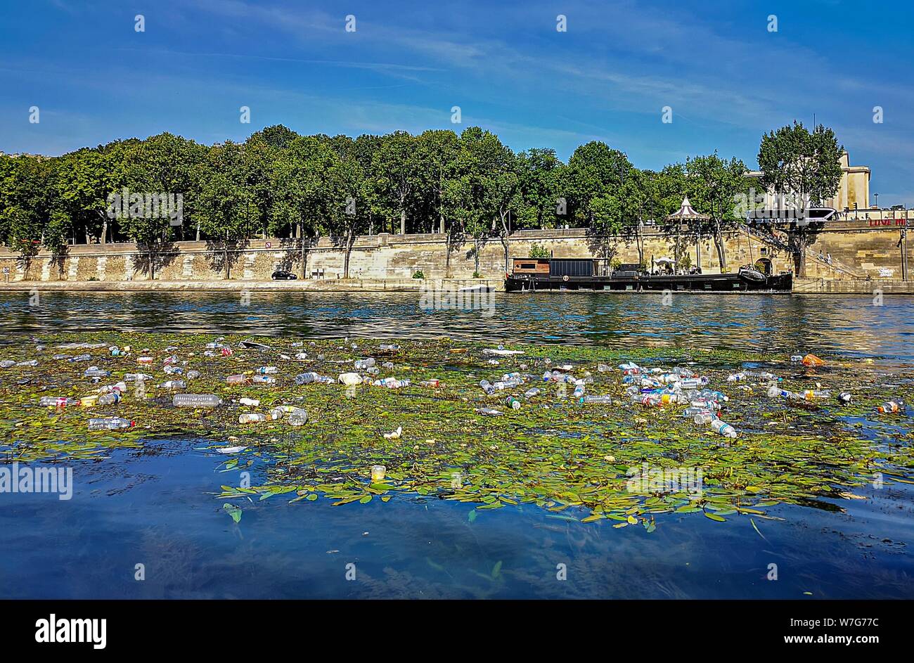 big amount of plastic waste swimming on water surface with water plants ...