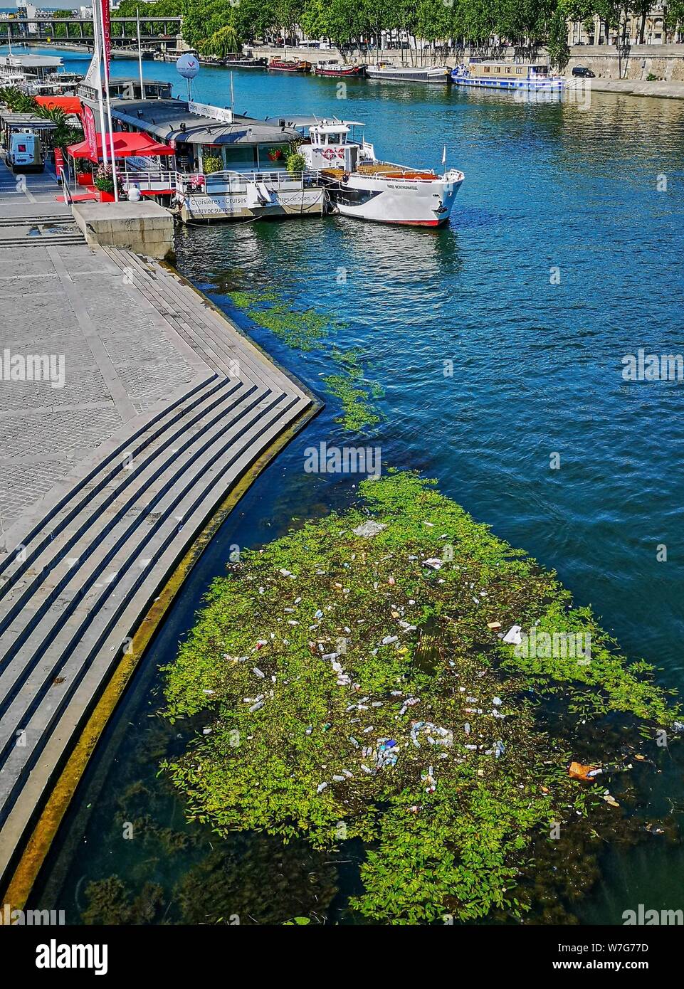 big amount of plastic waste swimming on water surface with water plants ...