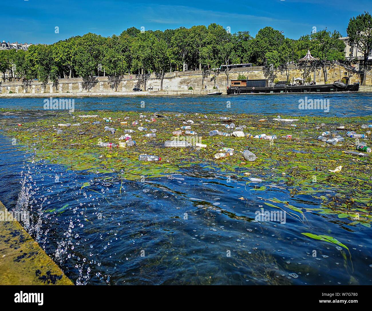 big amount of plastic waste swimming on water surface with water plants ...