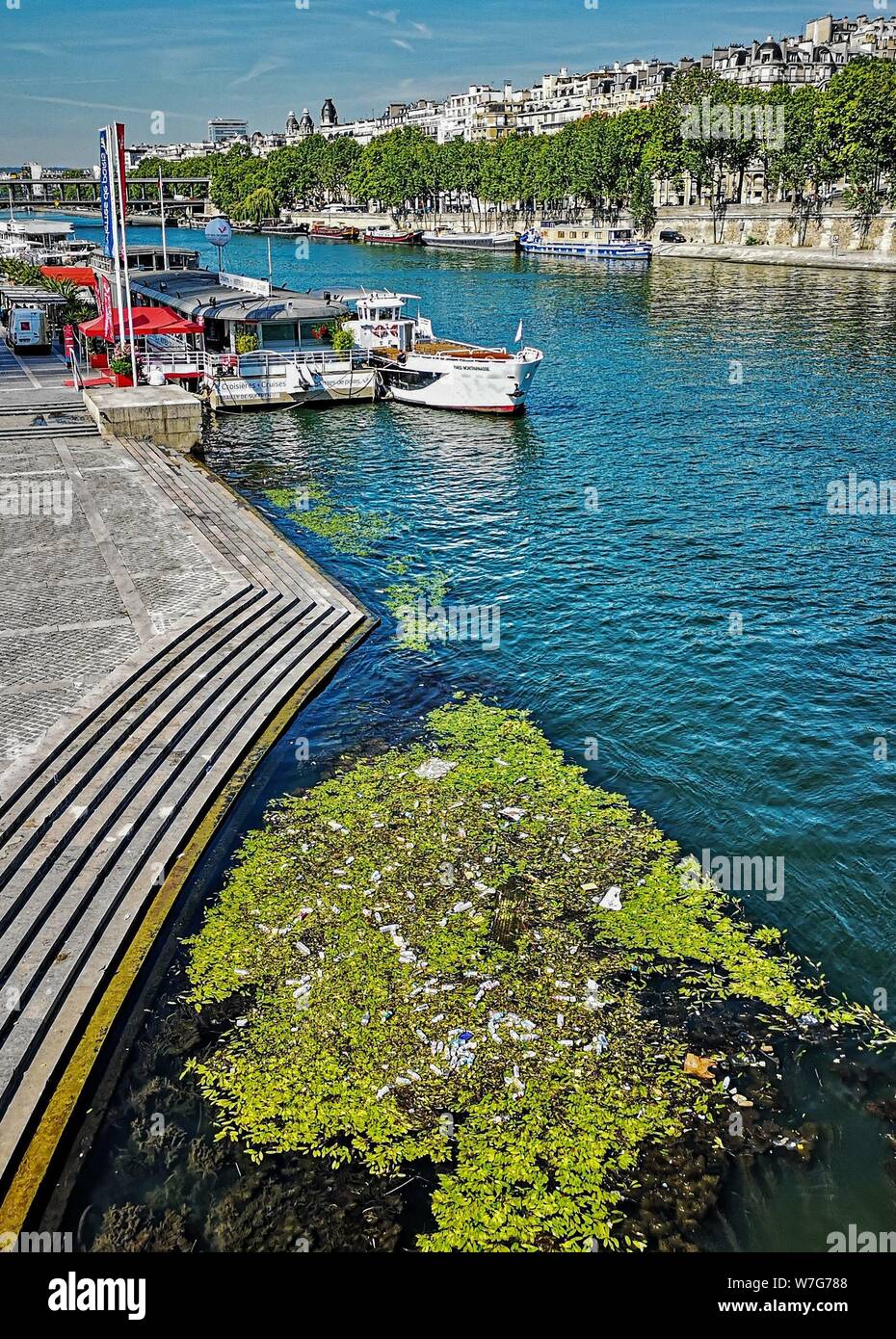 big amount of plastic waste swimming on water surface with water plants ...