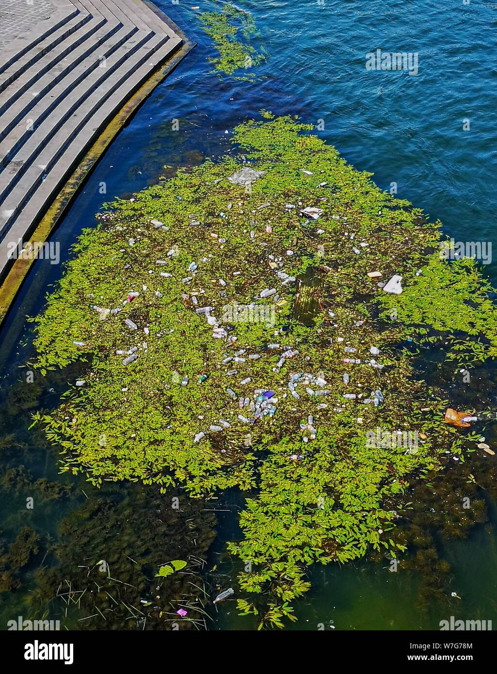 big amount of plastic waste swimming on water surface with water plants ...