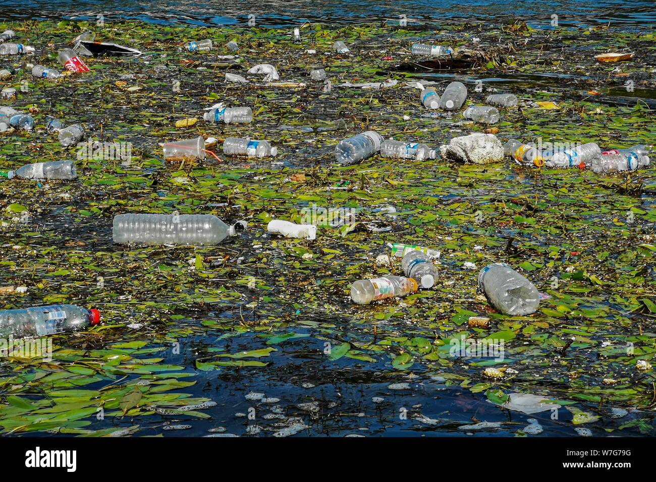 big amount of plastic waste swimming on water surface with water plants ...