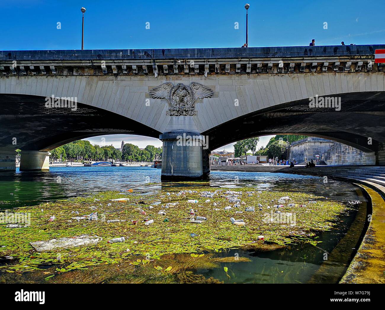 big amount of plastic waste swimming on water surface with water plants ...