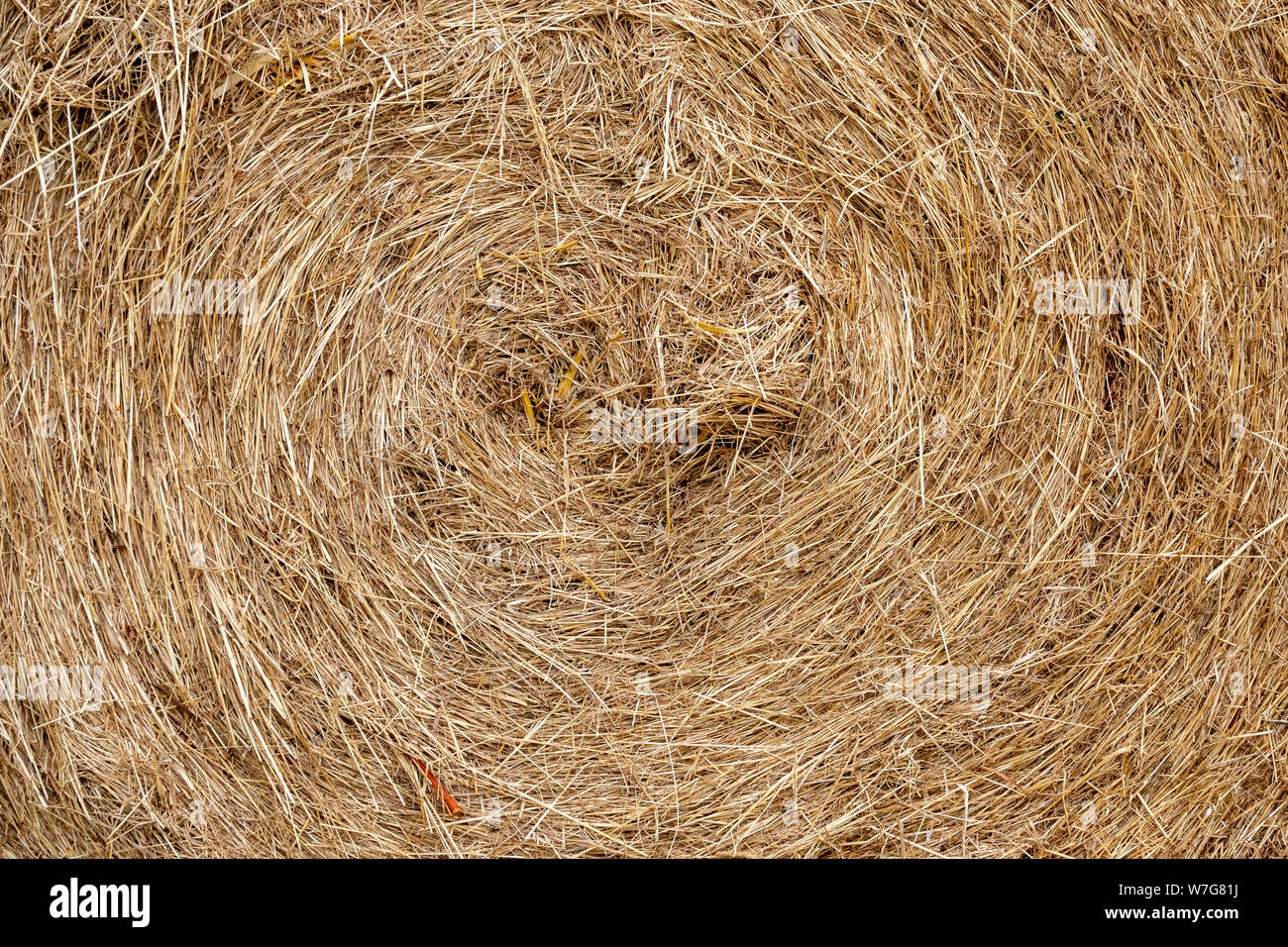 Hay bale texture hi-res stock photography and images - Alamy