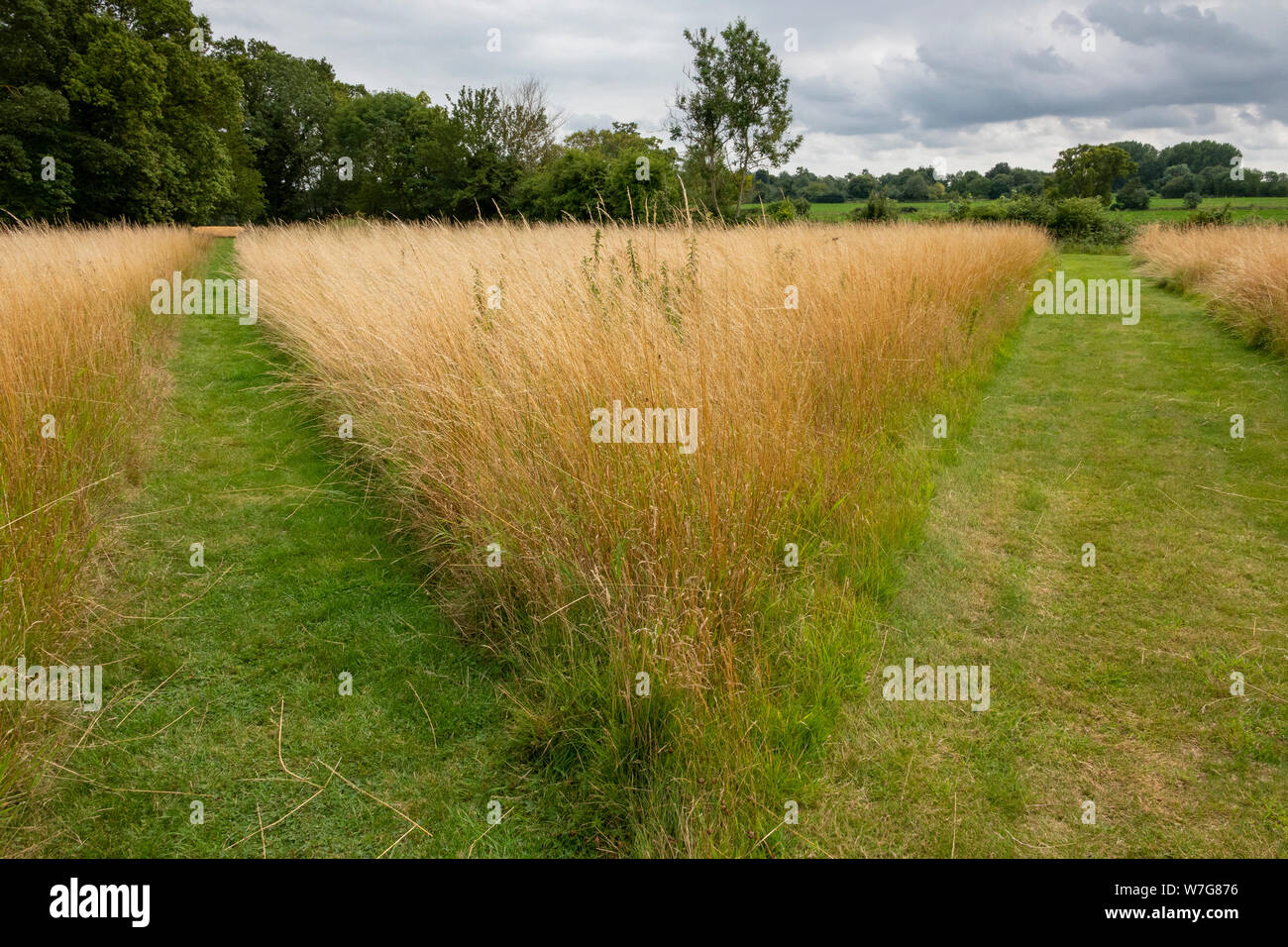 Triangle grass hi-res stock photography and images - Alamy