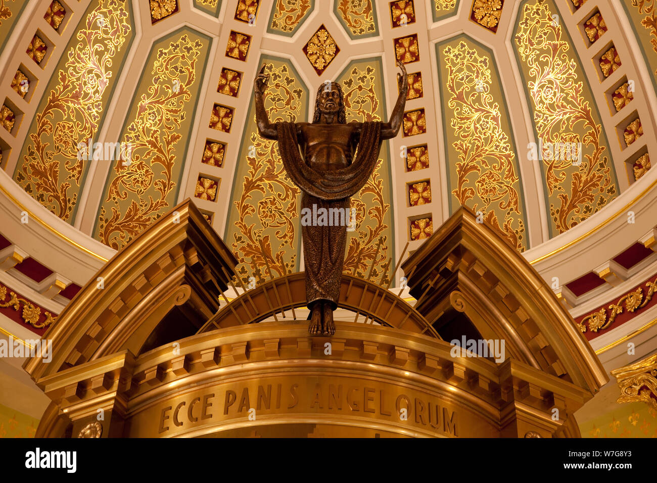 Architectural detail of interior, Cathedral of the Immaculate ...