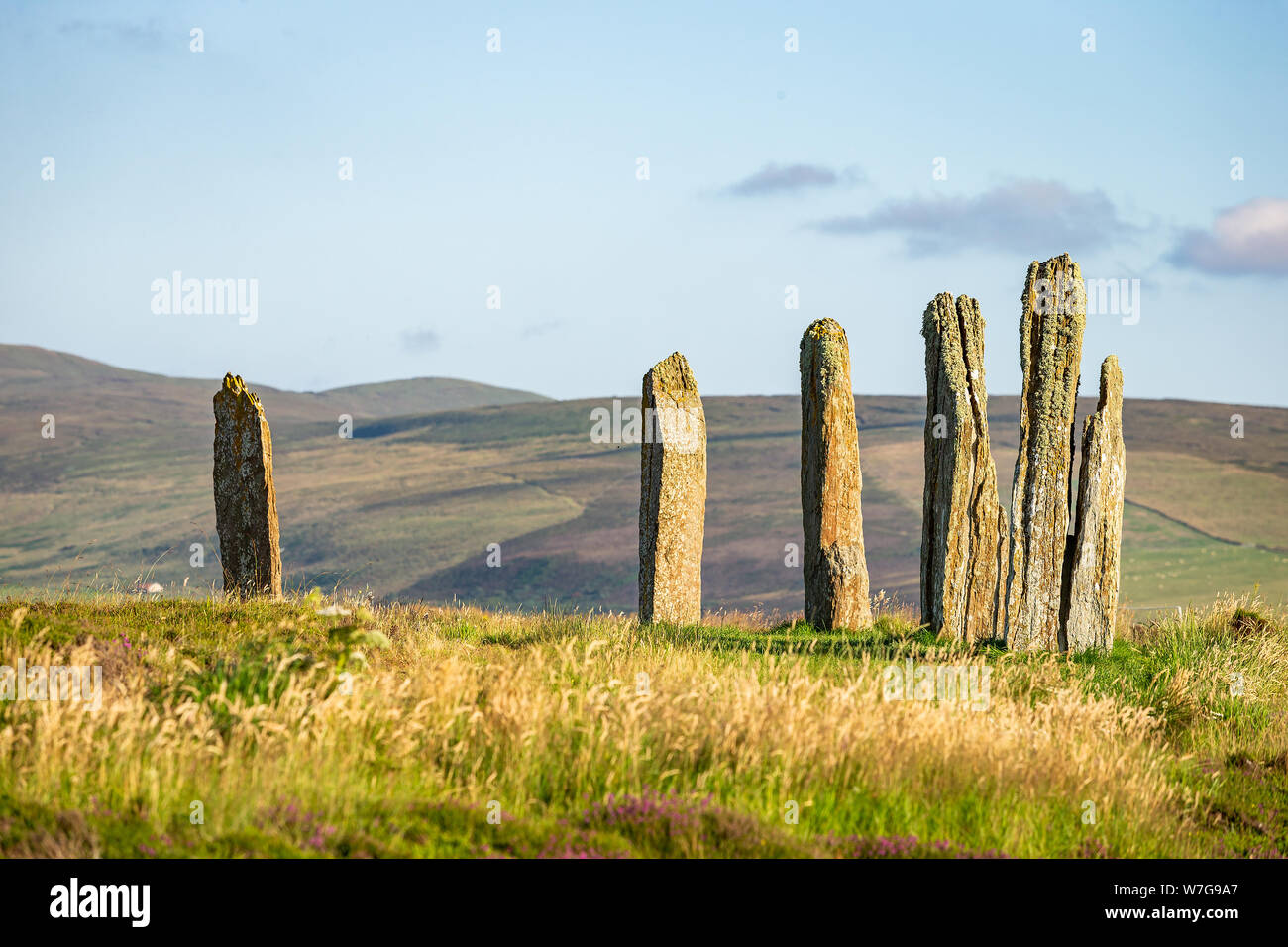 Ring of Brodgar on Orkney on a late summers afternoon Stock Photo - Alamy