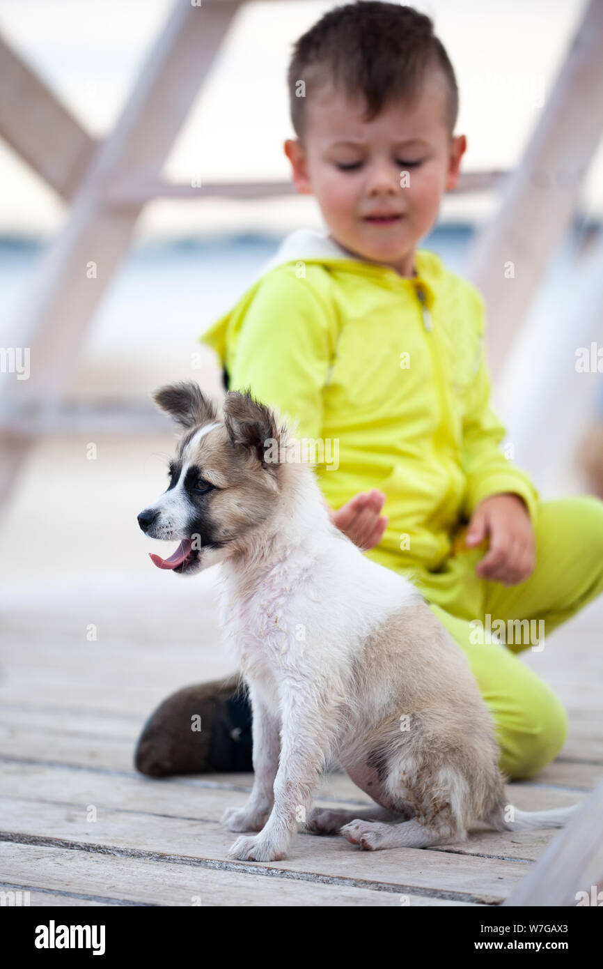 Cute little boy with his puppy. Protection of animals. Child and his ...