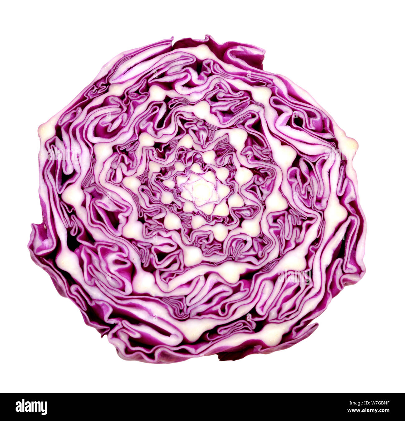 cut of purple cabbage Stock Photo - Alamy