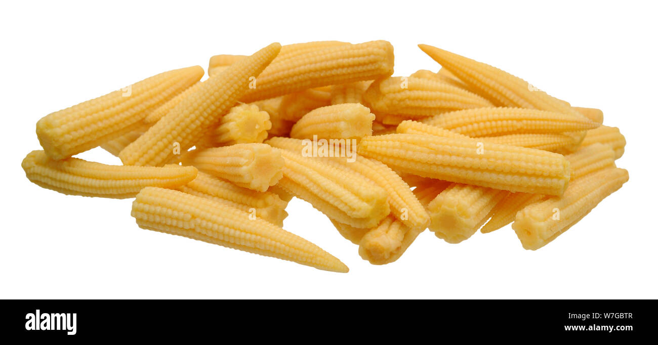 steamed baby corns isolated on white background Stock Photo - Alamy