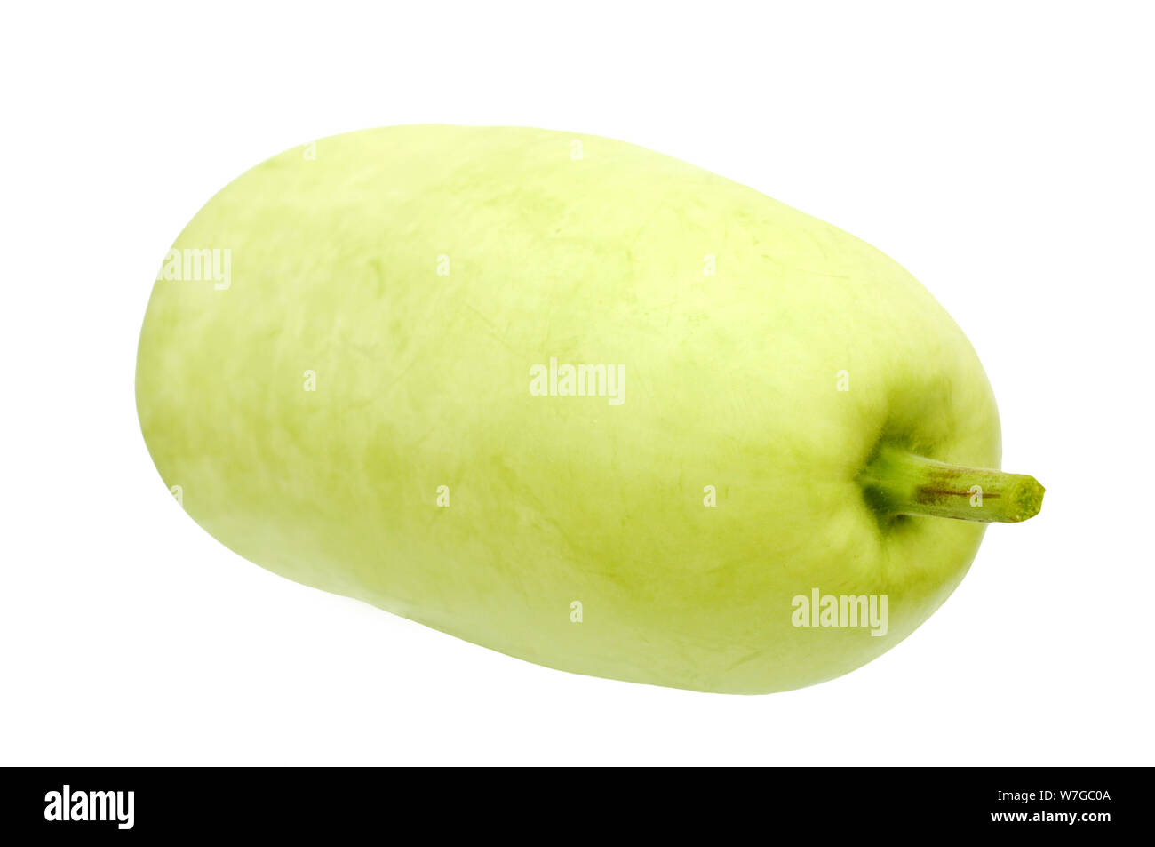 Fuzzy squash hi-res stock photography and images - Alamy