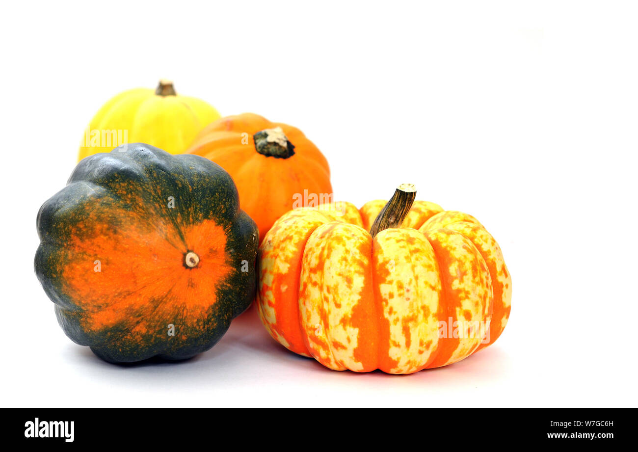 a group of colorful squash in harvest decoration Stock Photo - Alamy