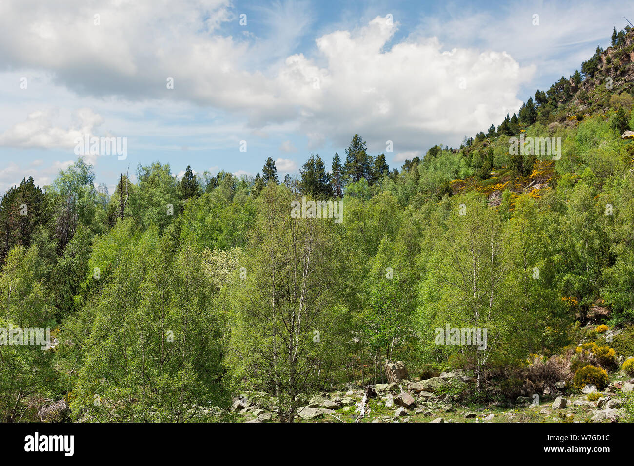 Pyrenees spain sky hi-res stock photography and images - Alamy