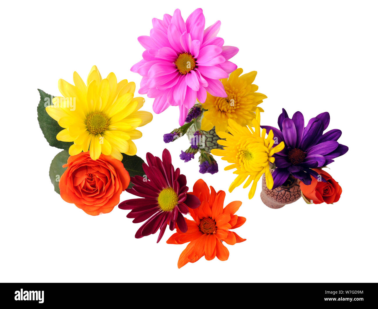 mix of colorful flowers isolated on white background Stock Photo - Alamy