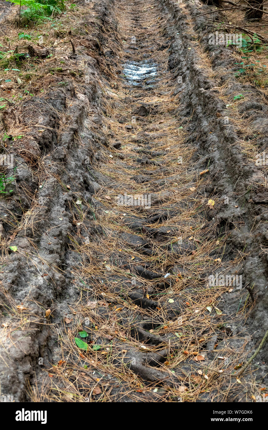 Deep large tractor tracks imprinted into mud Stock Photo - Alamy