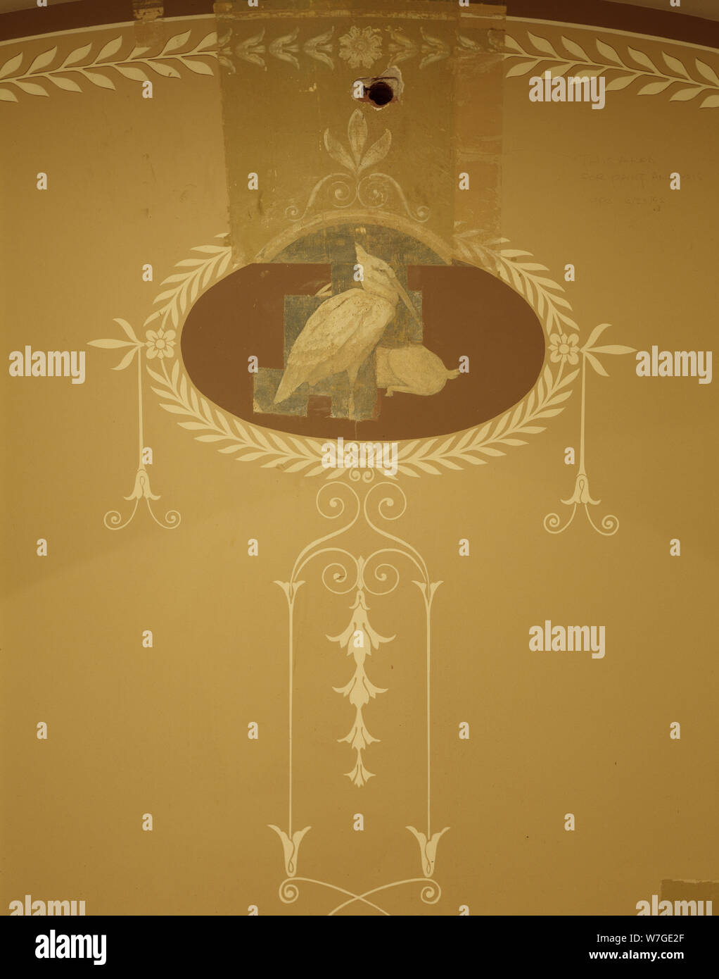 Thomas process hi-res stock photography and images - Alamy