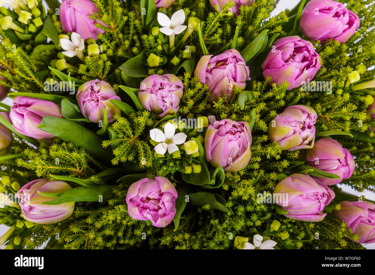 Abstract background of flowers. Close-up Stock Photo - Alamy