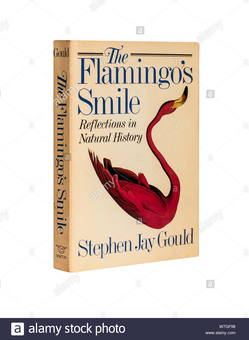 Stephen Gould Stock Photos & Stephen Gould Stock Images - Alamy