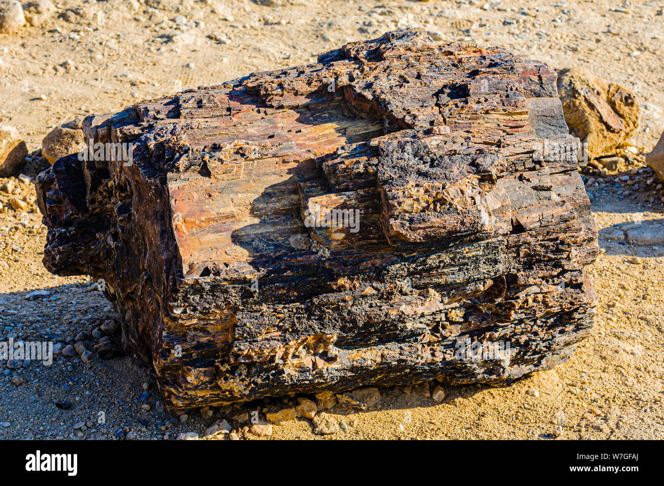 Sedimentary rocks and fossils hi-res stock photography and images - Alamy