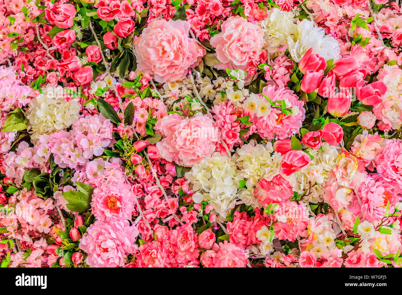 Abstract background of flowers. Close-up Stock Photo - Alamy