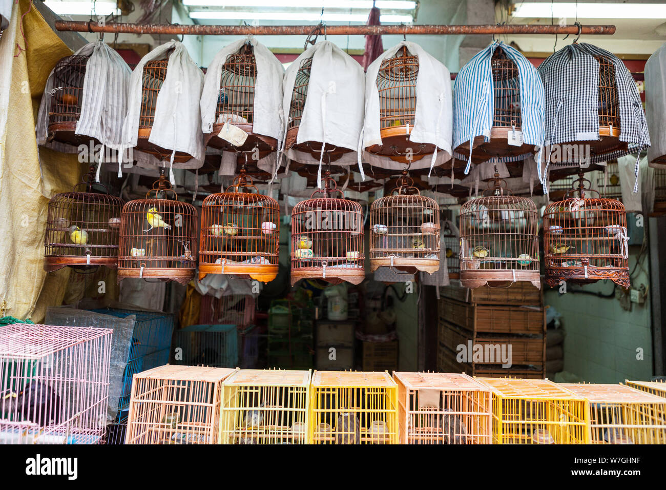 Birds for sale in Yuen Po street bird garden Hong Kong Stock Photo - Alamy