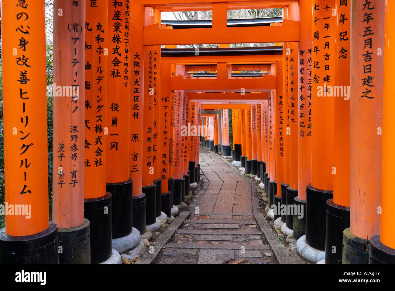 Torii pathway walkway hi-res stock photography and images - Alamy