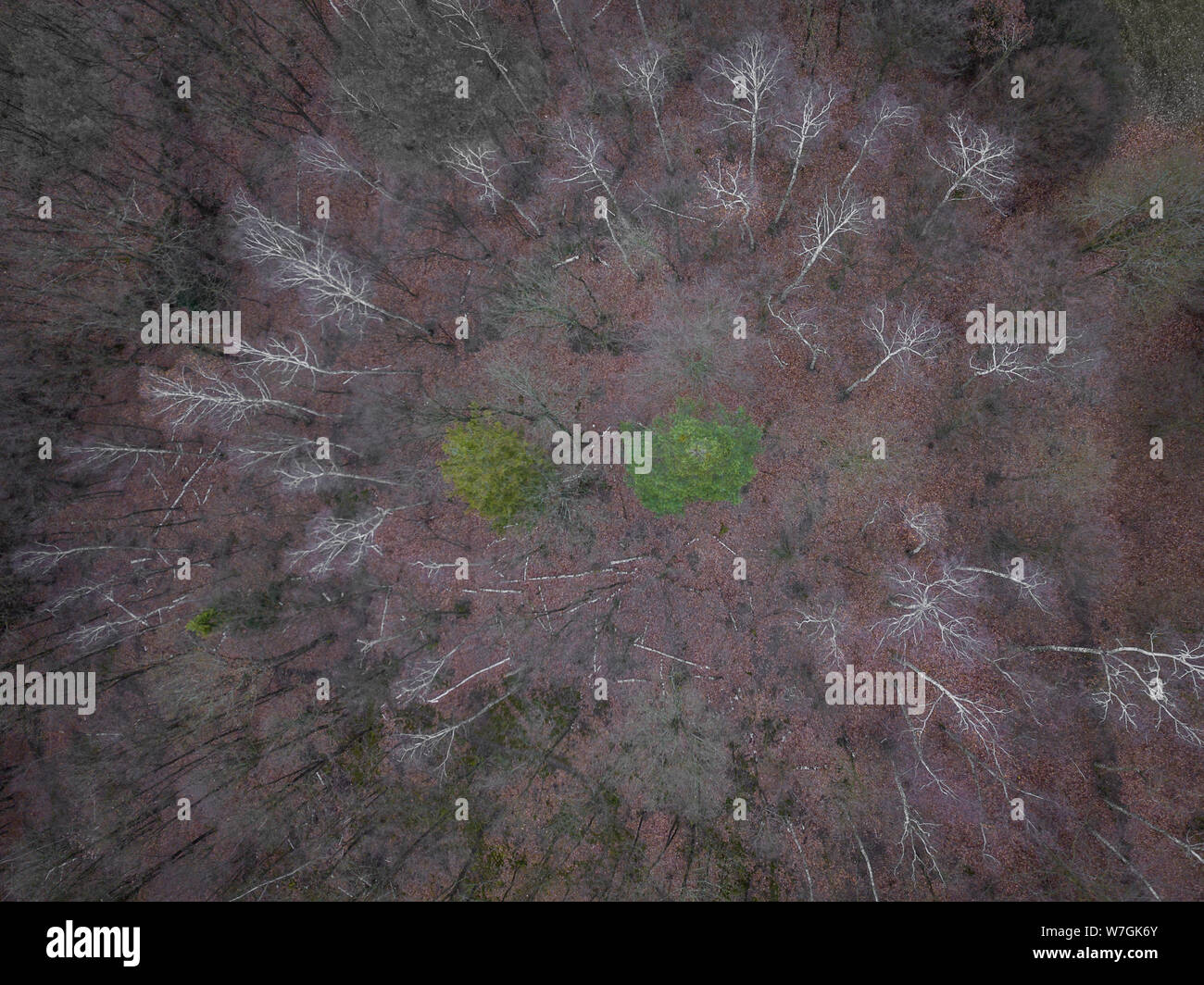 The Central Bohemian Region is an administrative unit of the Czech ...