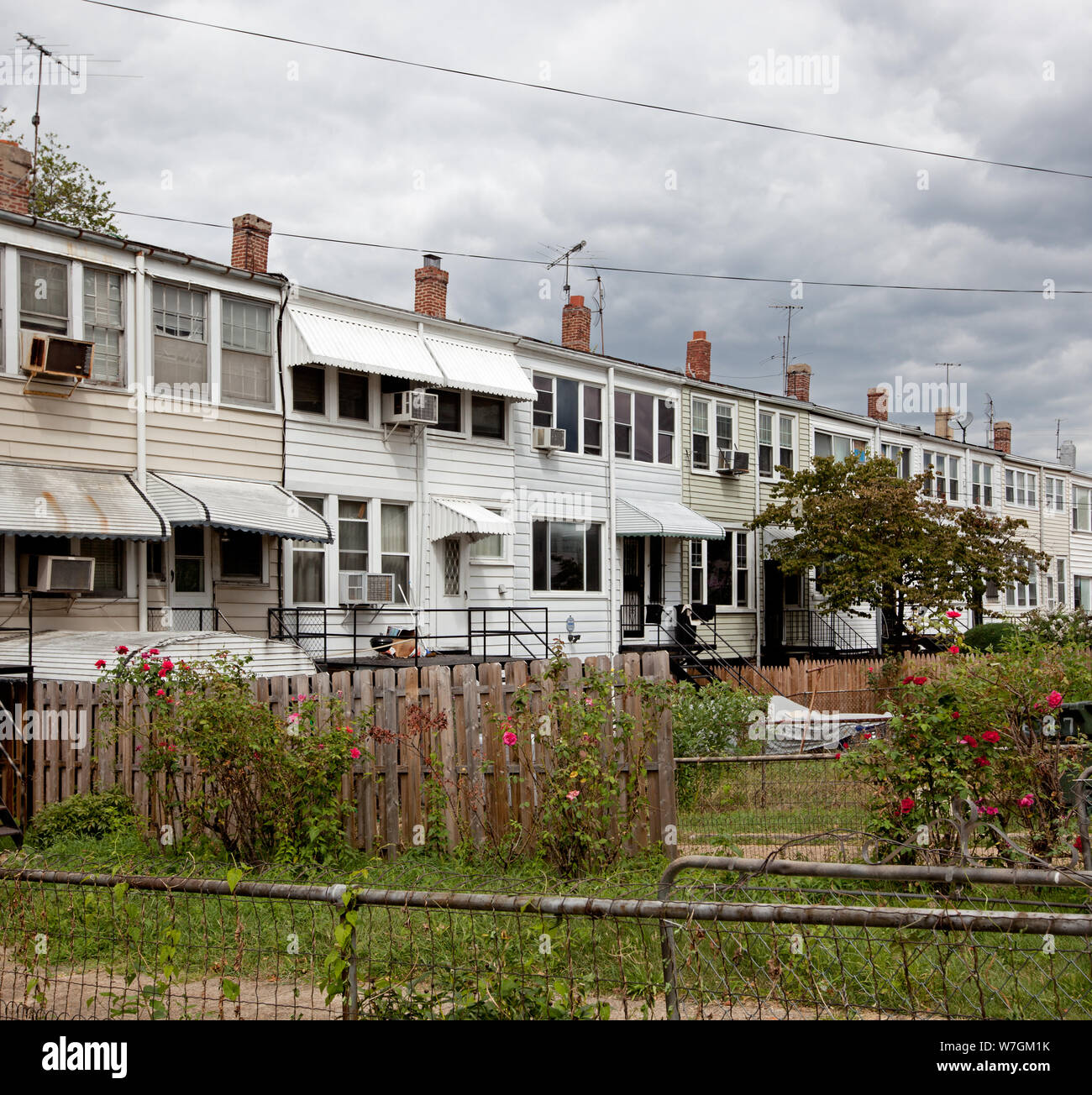 Back Alley of row homes, Quincy St., NW, Washington, D.C Stock Photo ...