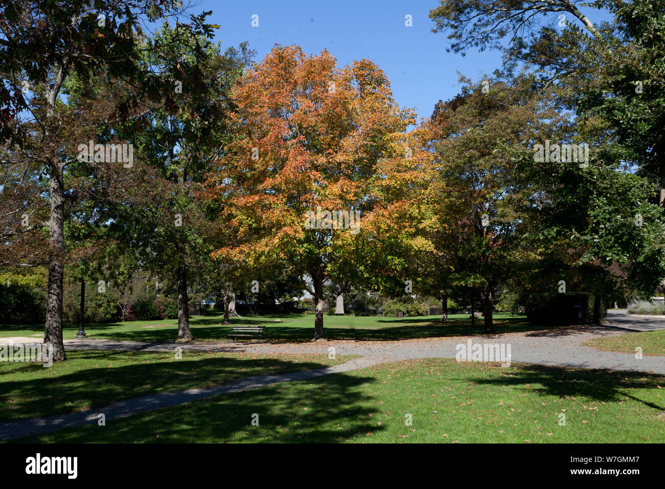 Ballard Park, Ridgefield, Connecticut Stock Photo - Alamy