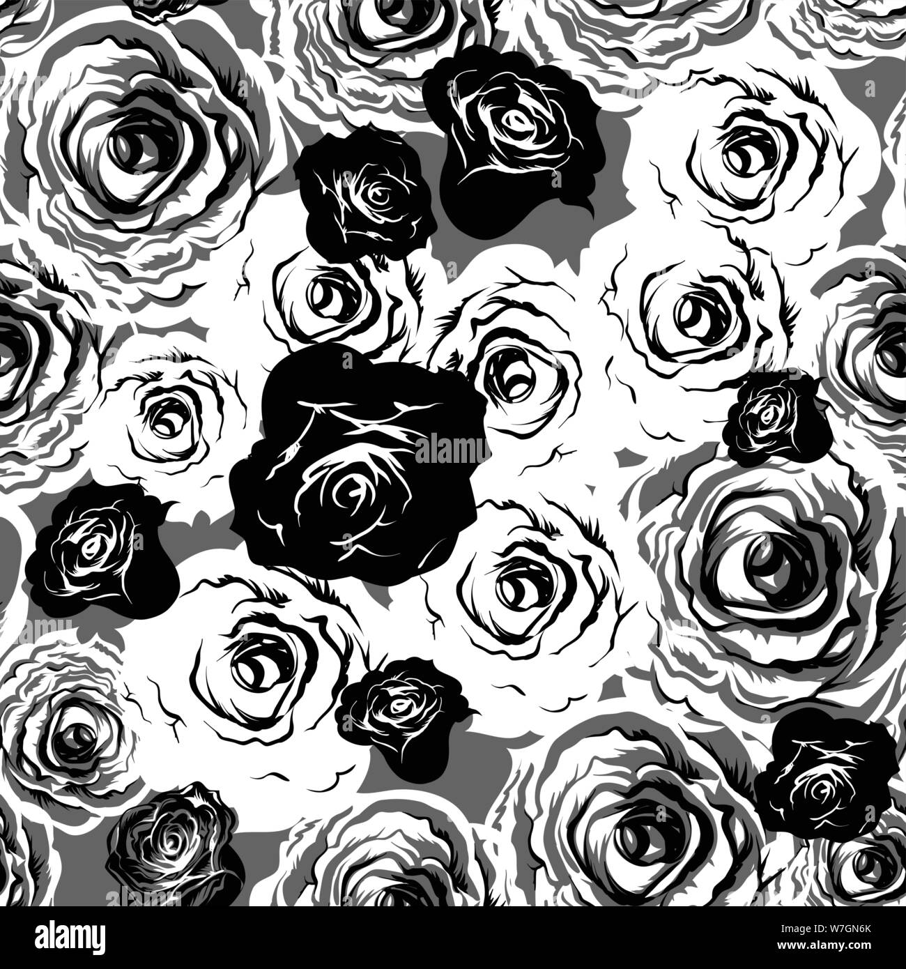 Hand drawn roses Stock Vector Image & Art - Alamy