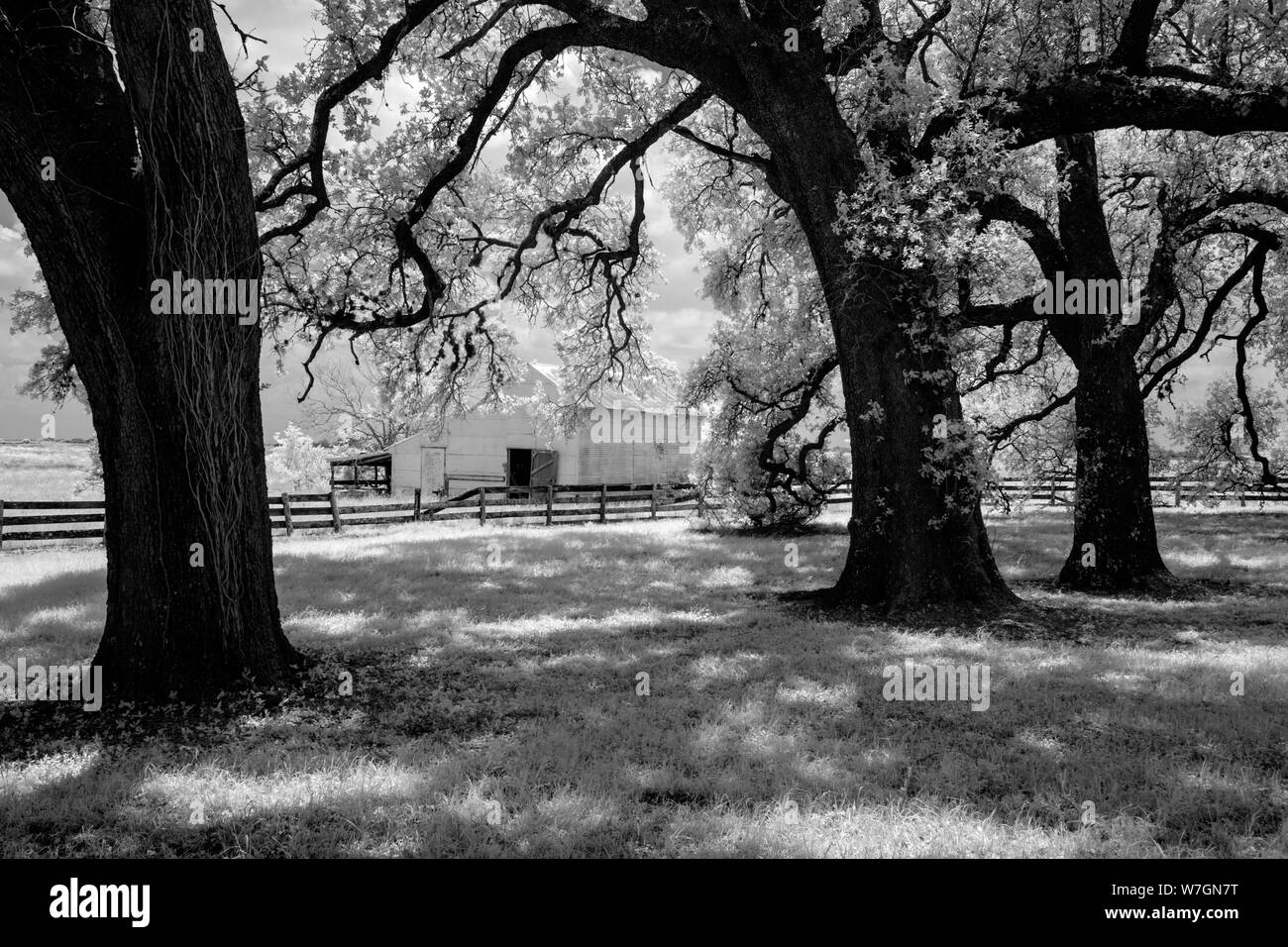 Barn at the 1,800-acre Lonesome Pine Ranch, a working cattle ranch that ...