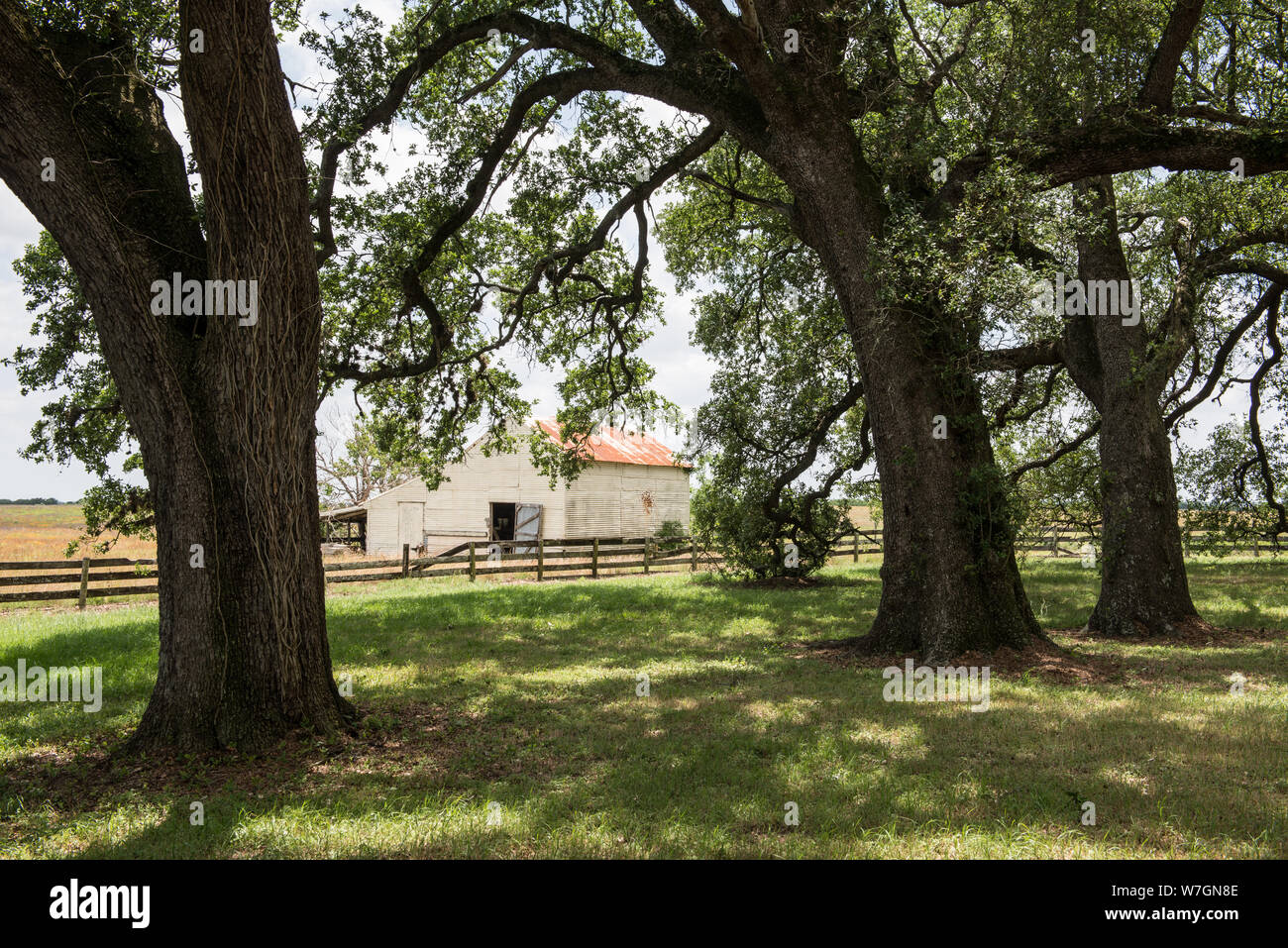 Barn at the 1,800-acre Lonesome Pine Ranch, a working cattle ranch that ...