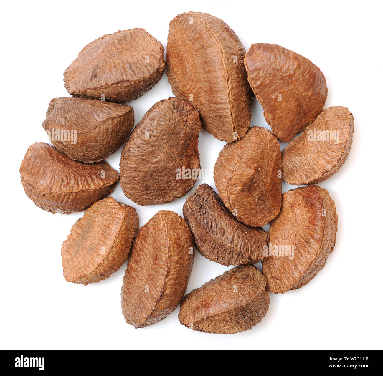 brazil nut on white background Stock Photo - Alamy
