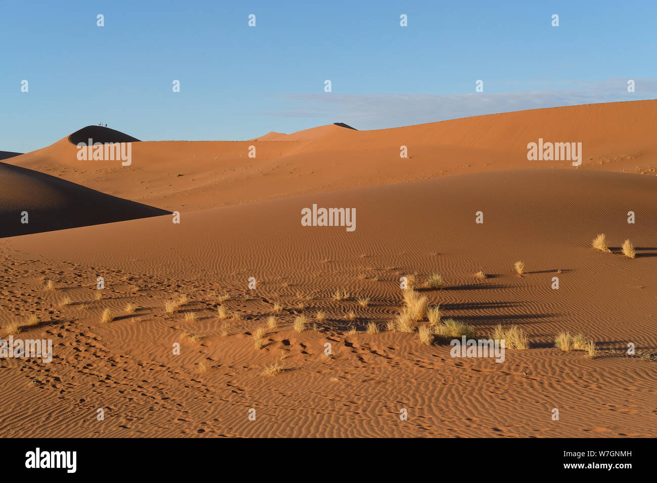 Namibia landscape nature hi-res stock photography and images - Alamy