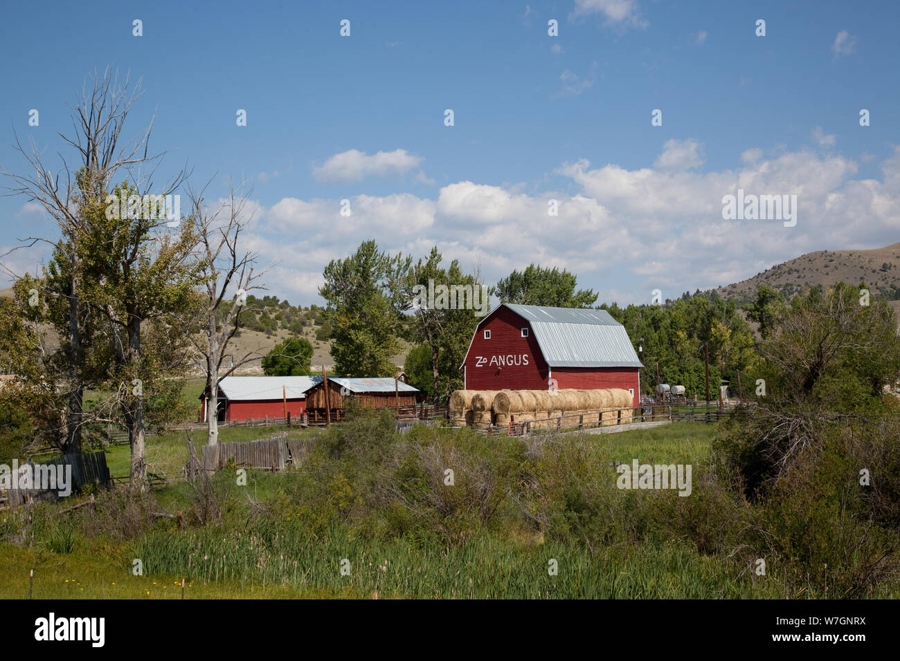 Barn, rural Montana Stock Photo - Alamy