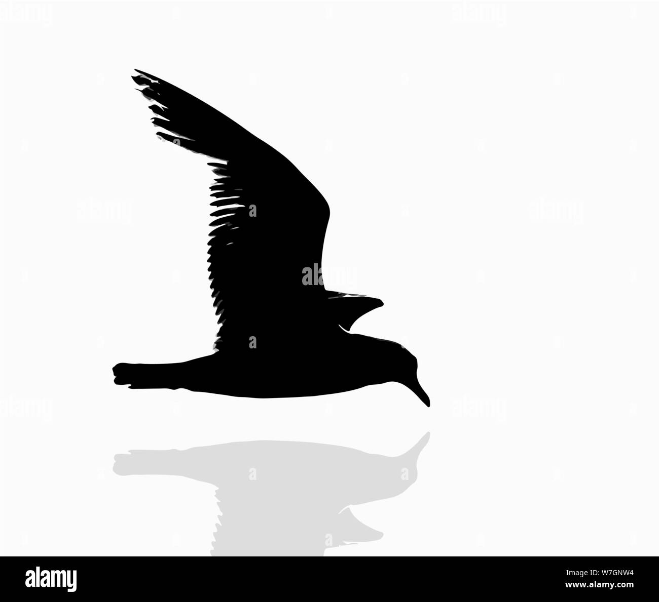 Flying bird over water with reflection Stock Vector Images - Alamy