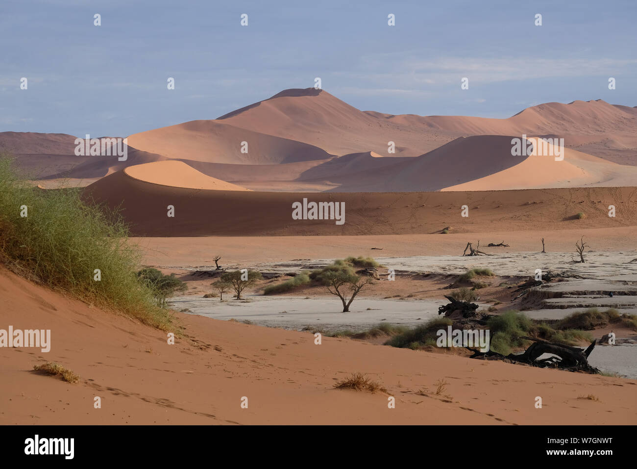Deadvlei area, Namibia Stock Photo - Alamy