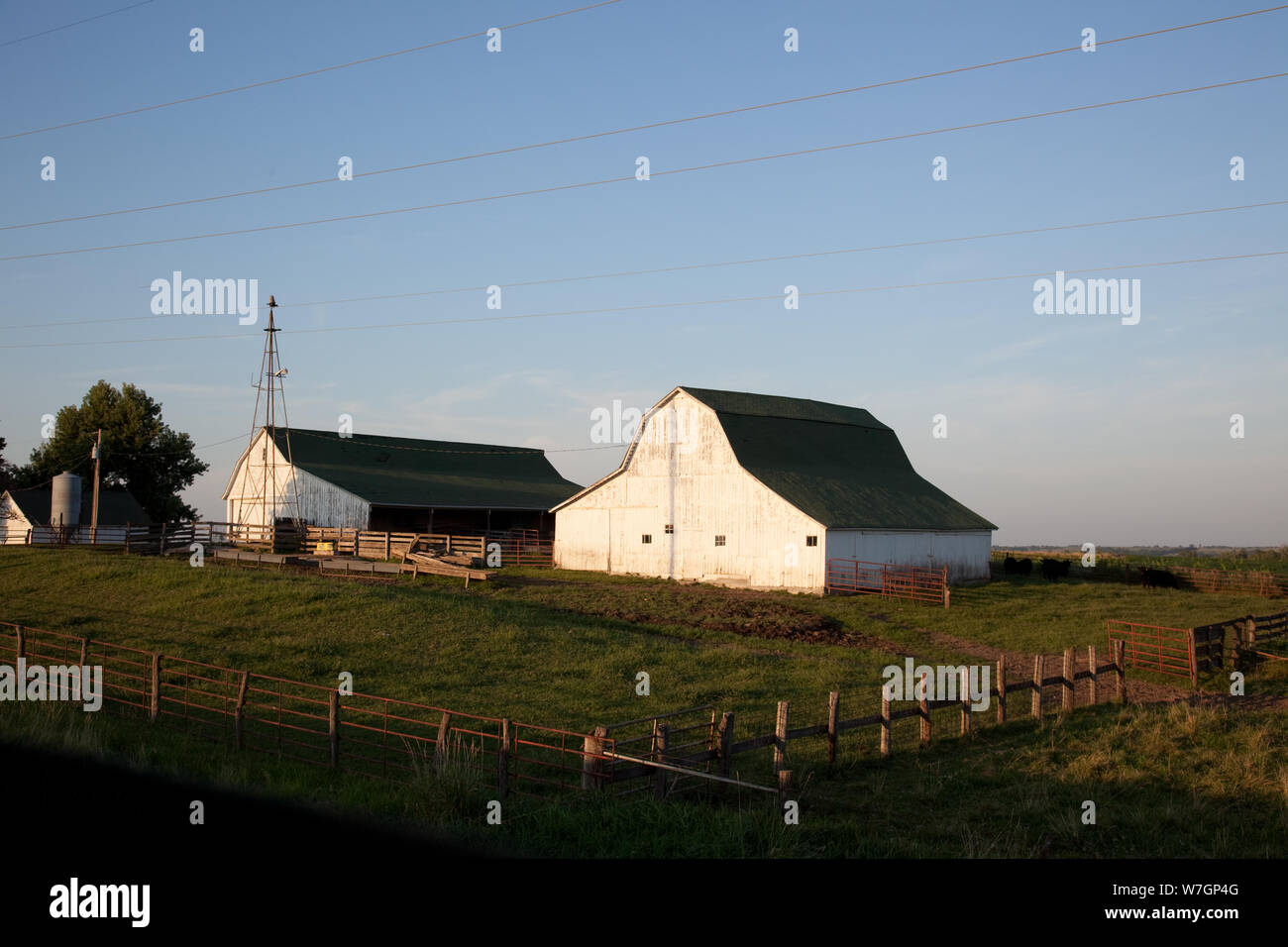 Barns in rural Montana Stock Photo - Alamy