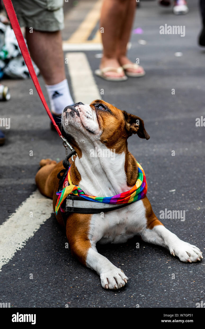 Brighton Pride in the Park 2019 Stock Photo - Alamy