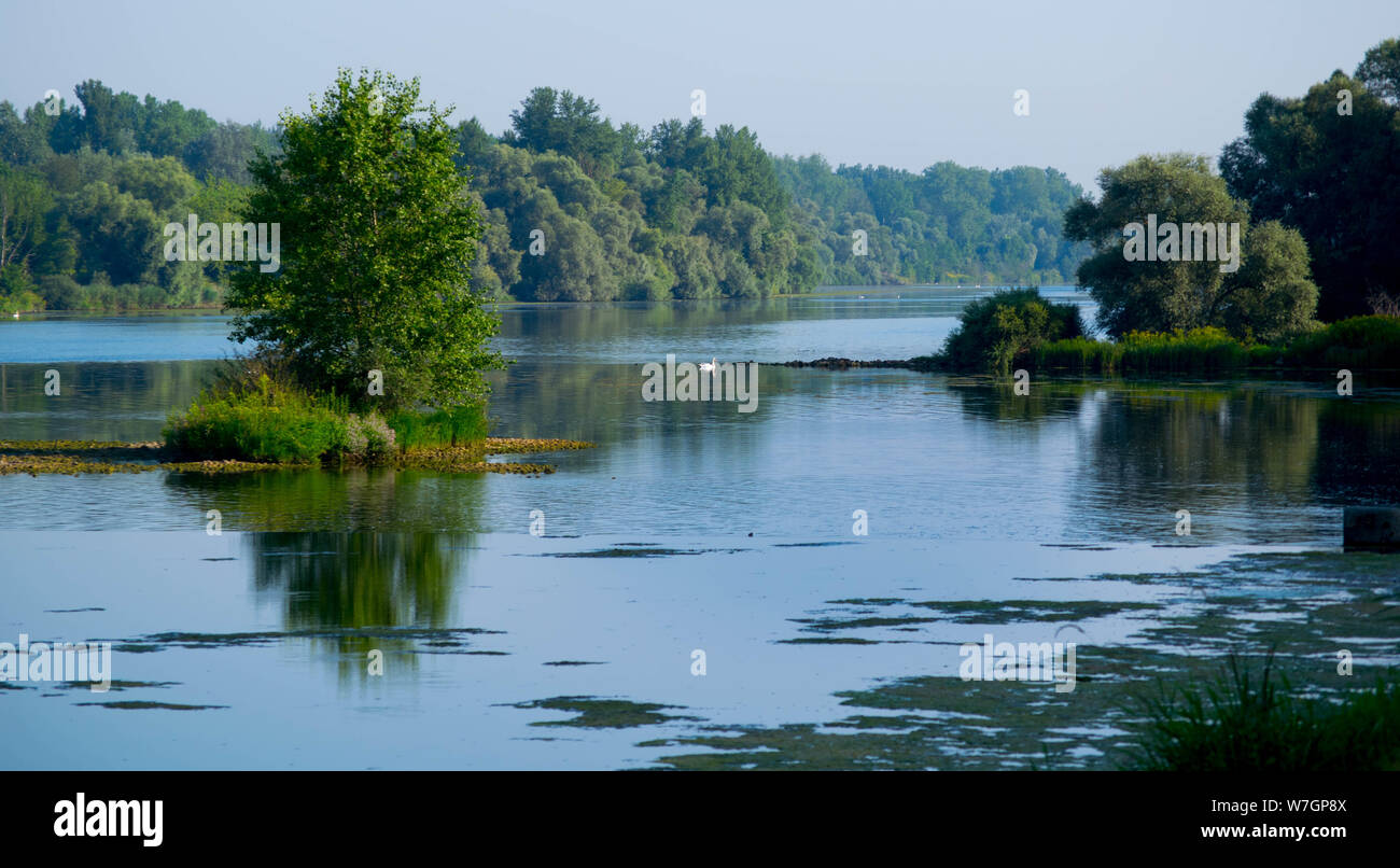 Summer wetlands hi-res stock photography and images - Alamy