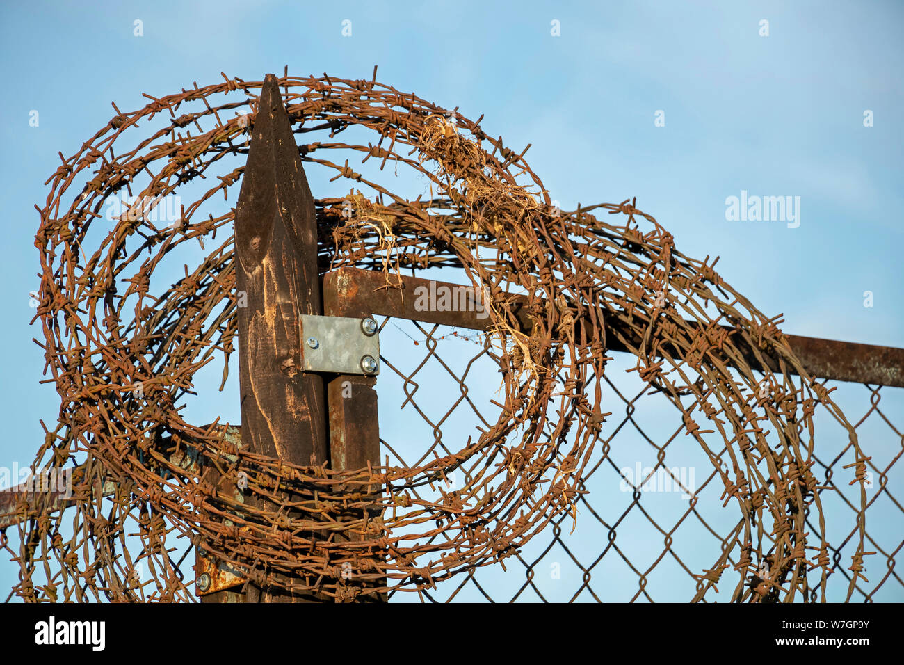 Barbed wire, also known as barb wire, a type of steel fencing wire ...