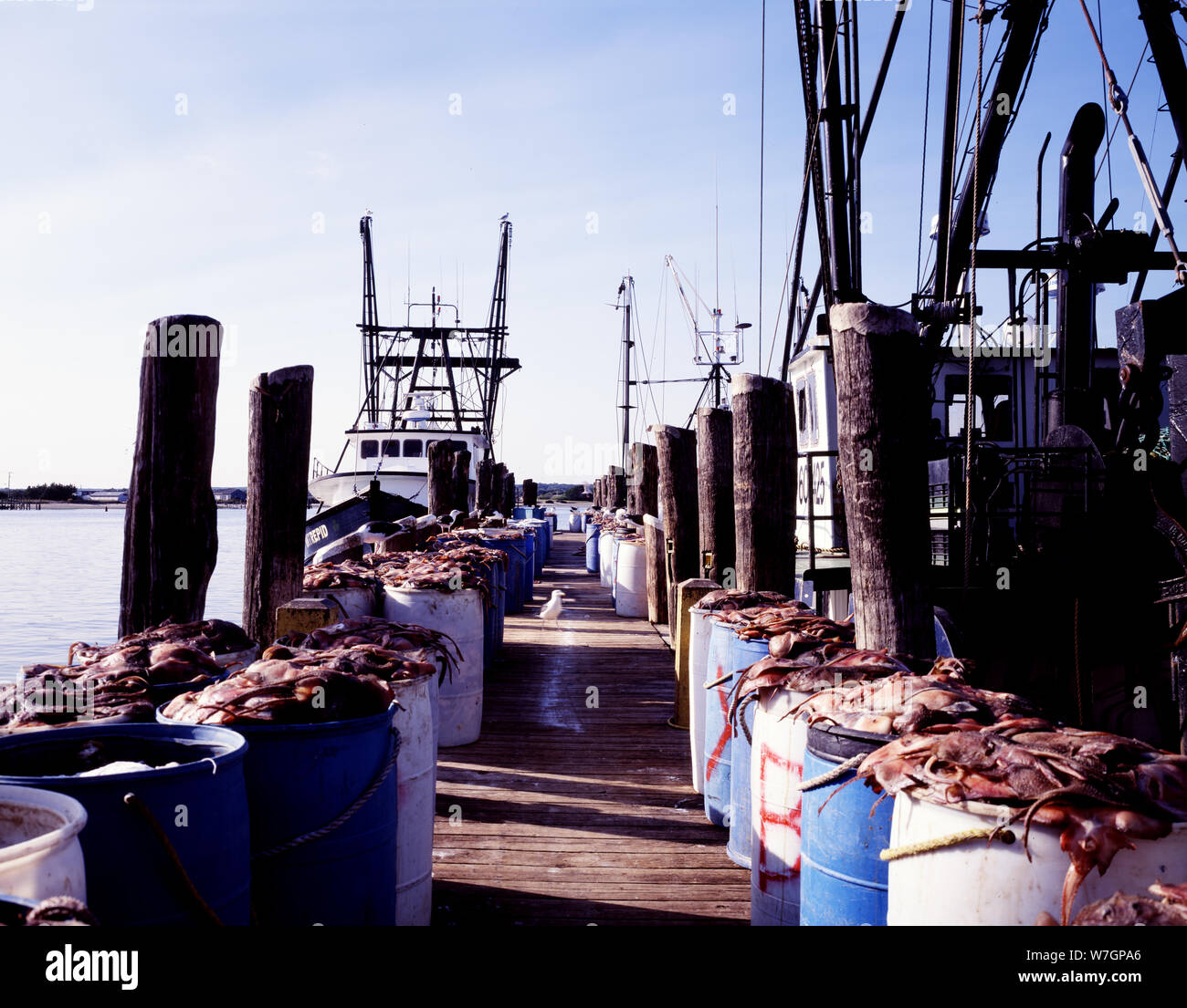 Brimming hi-res stock photography and images - Alamy