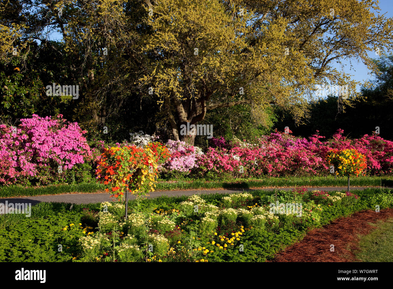Bellingrath Gardens and Home, the creation of Mr. and Mrs. Walter ...