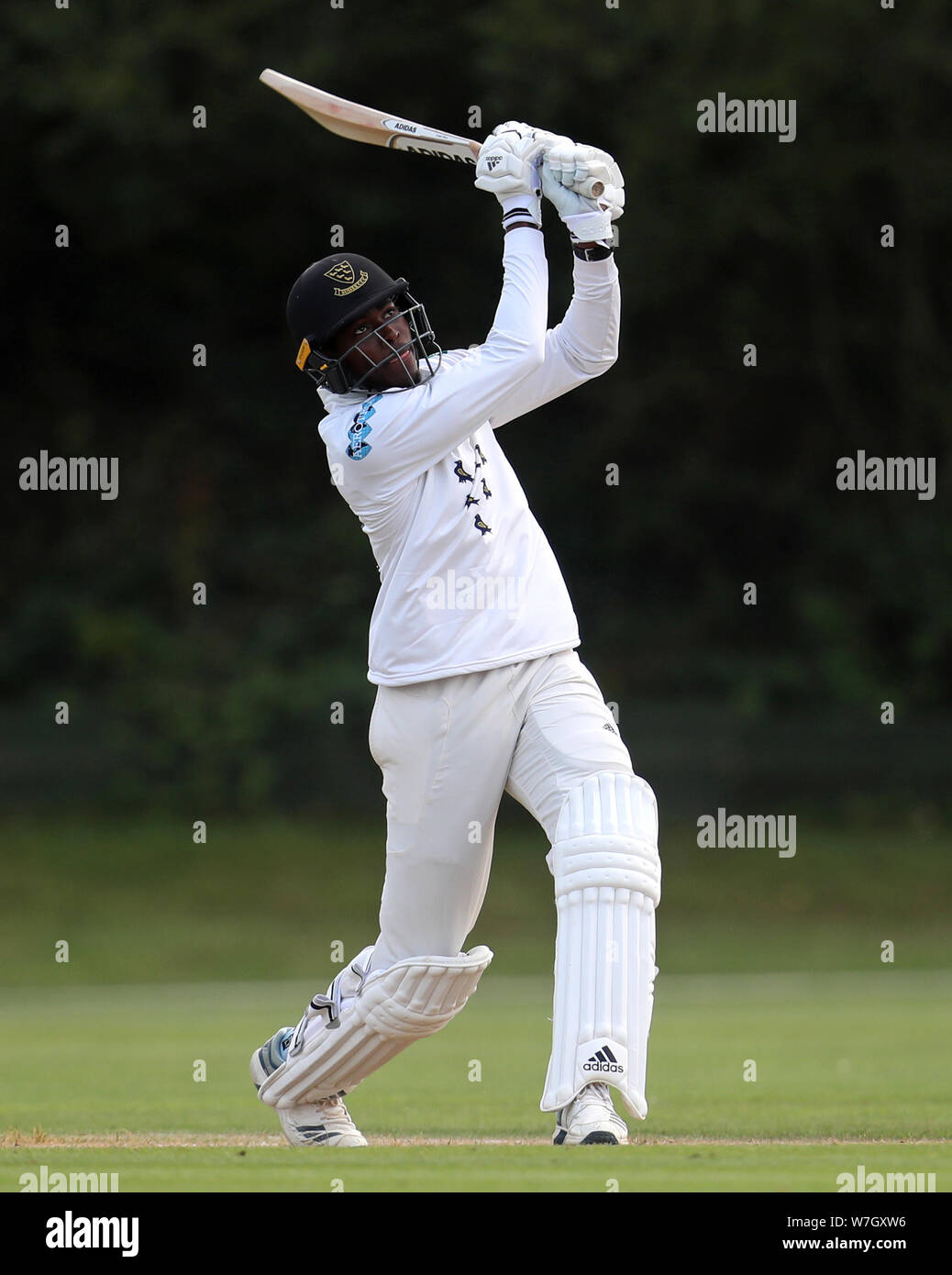 Blackstone cricket hi-res stock photography and images - Alamy