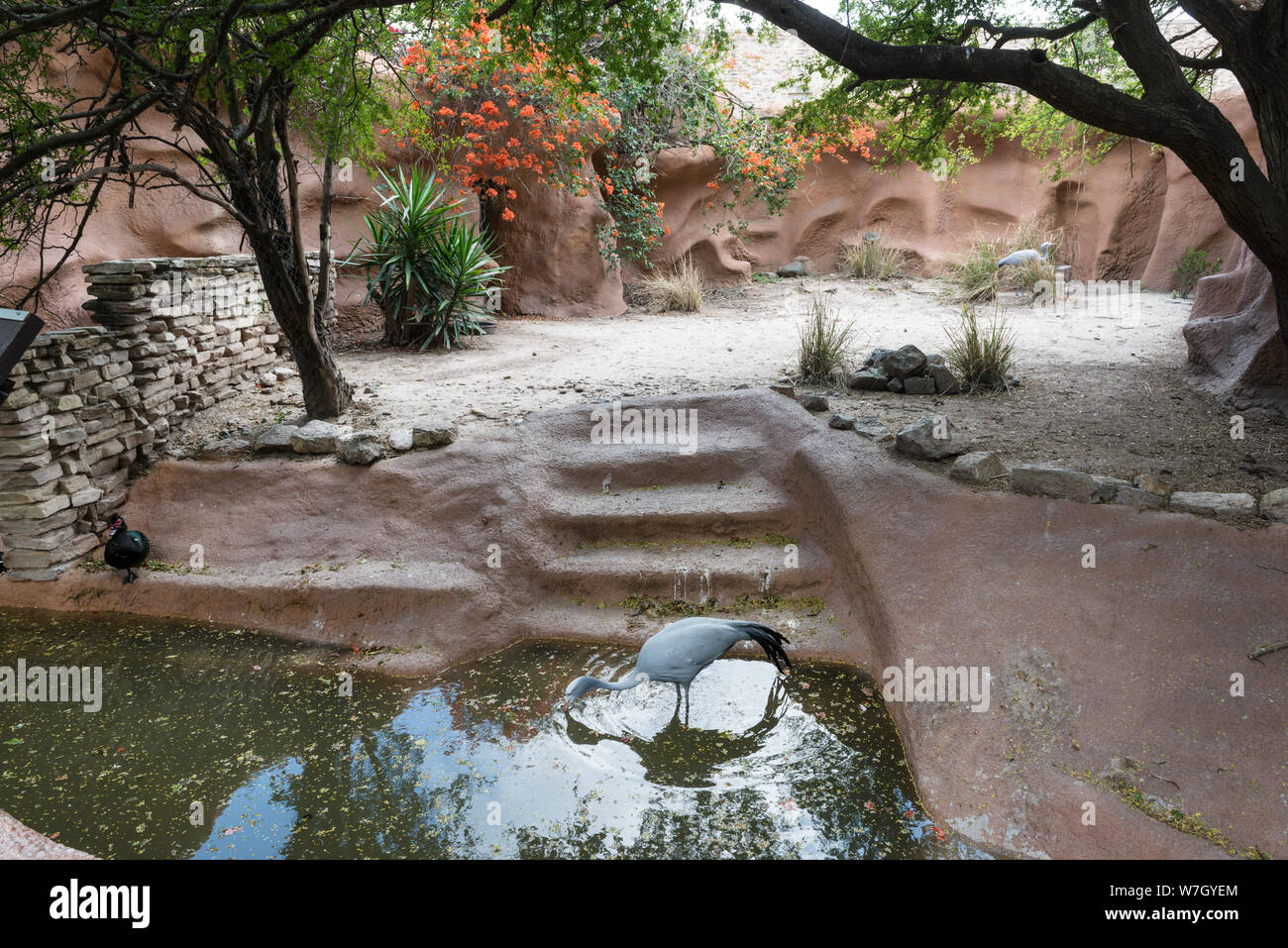 Gladys porter hi-res stock photography and images - Alamy